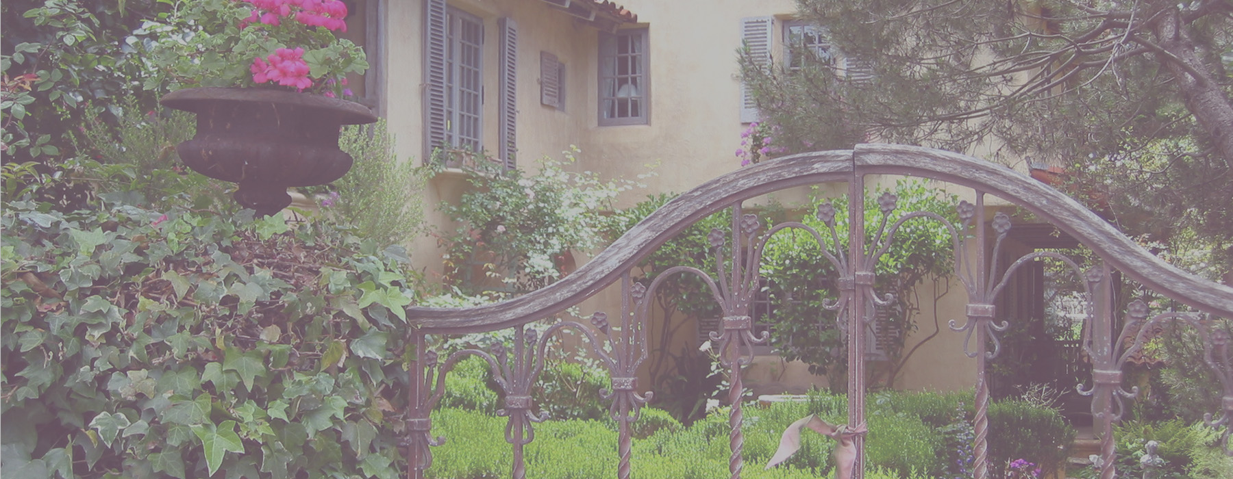 Coming Home: An Invitation to Join God's Family - Focus on the Family ...