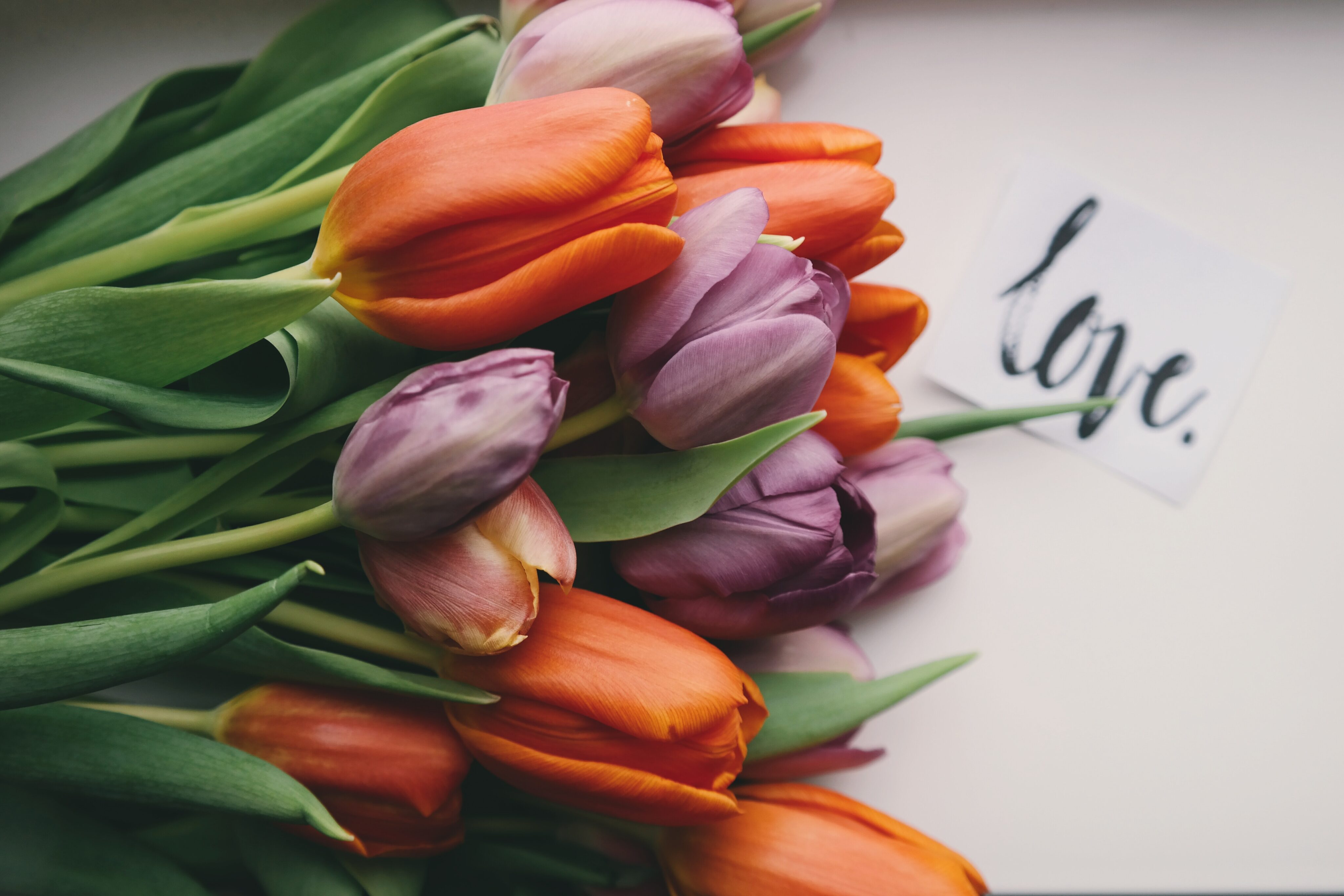 Exploring Your Love Styles - Focus on the Family Australia